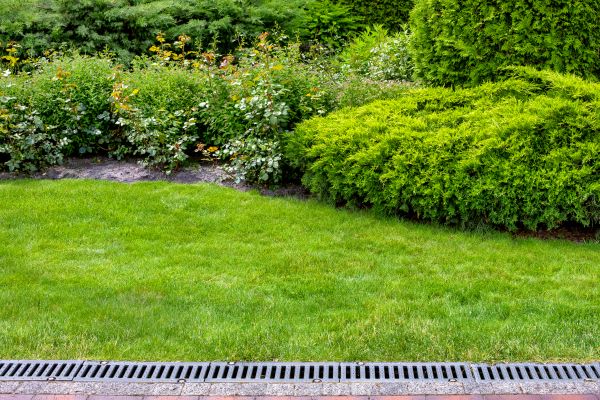Ditch Landscaping and Abandon Garden Design | Ditch Landscaping Pros